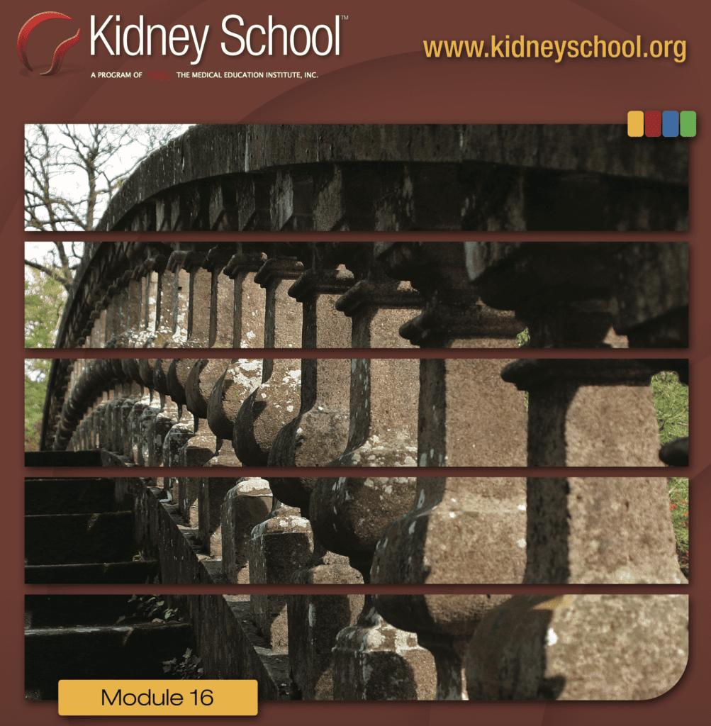 Long-term Effects of Dialysis: Kidney School Module 16 – Medical ...