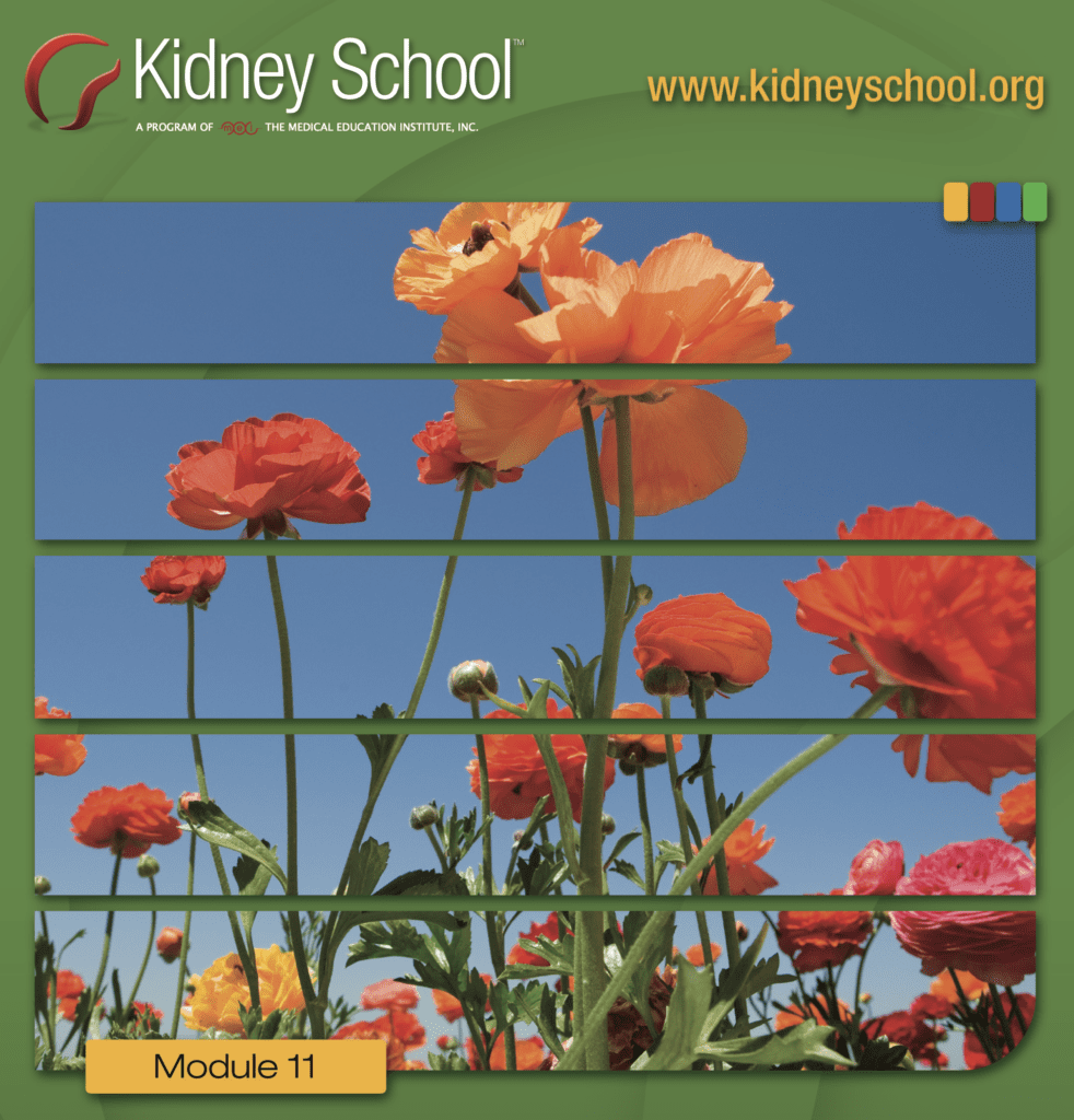 Sexuality and Fertility: Kidney School Module 11 – Medical Education ...