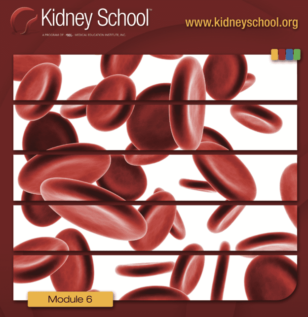 Anemia and Kidney Disease: Kidney School Module 6 – Medical Education ...