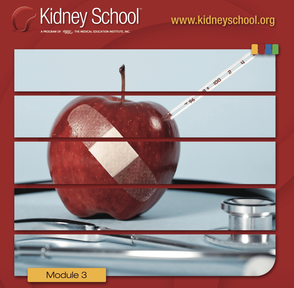 Working With Your Healthcare Team: Kidney School Module 3 – Medical ...