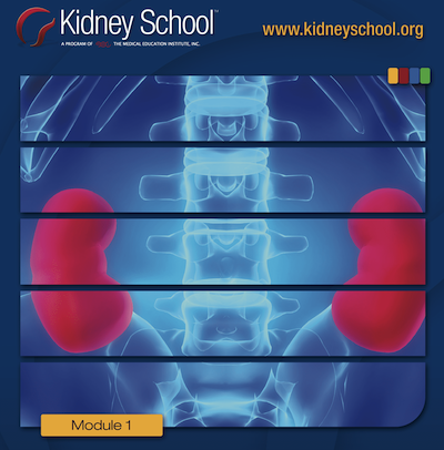 Kidneys: How They Work, How They Fail, What You Can Do – Kidney School ...