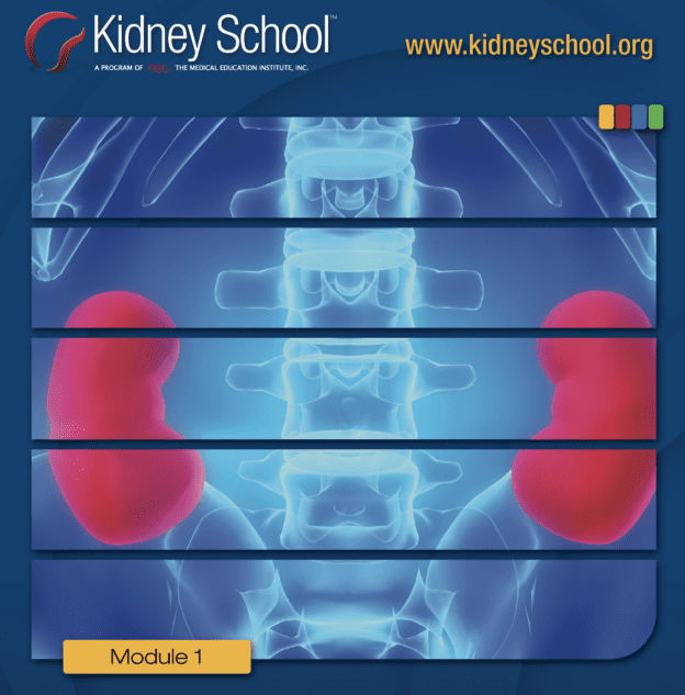 Kidneys: How They Work, How They Fail, What You Can Do – Kidney School ...